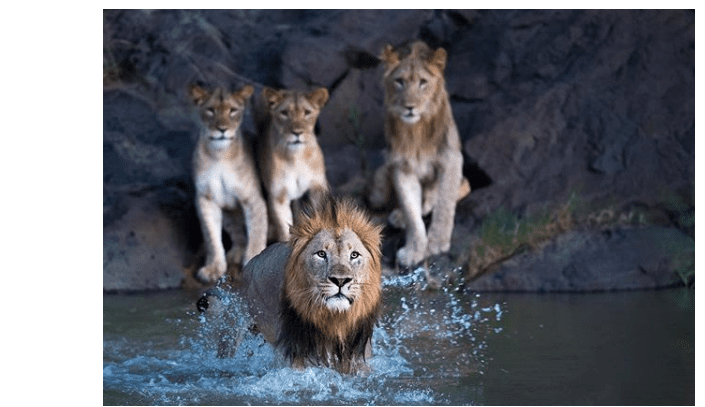 Social Distancing Communication Solutions - Digitall Comms Leads The ...